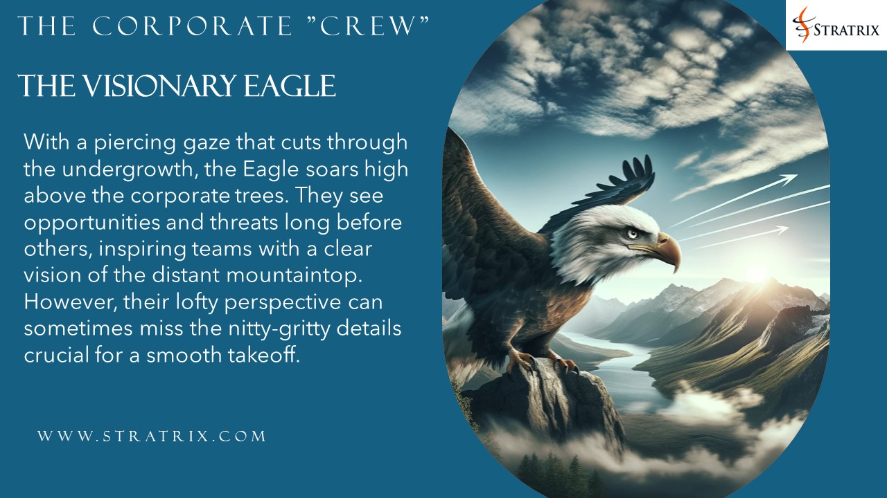 The Visionary Eagle