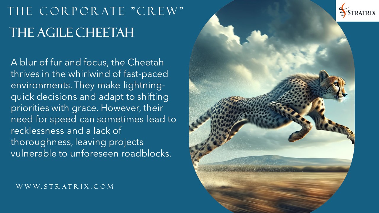 The Agile Cheetah
