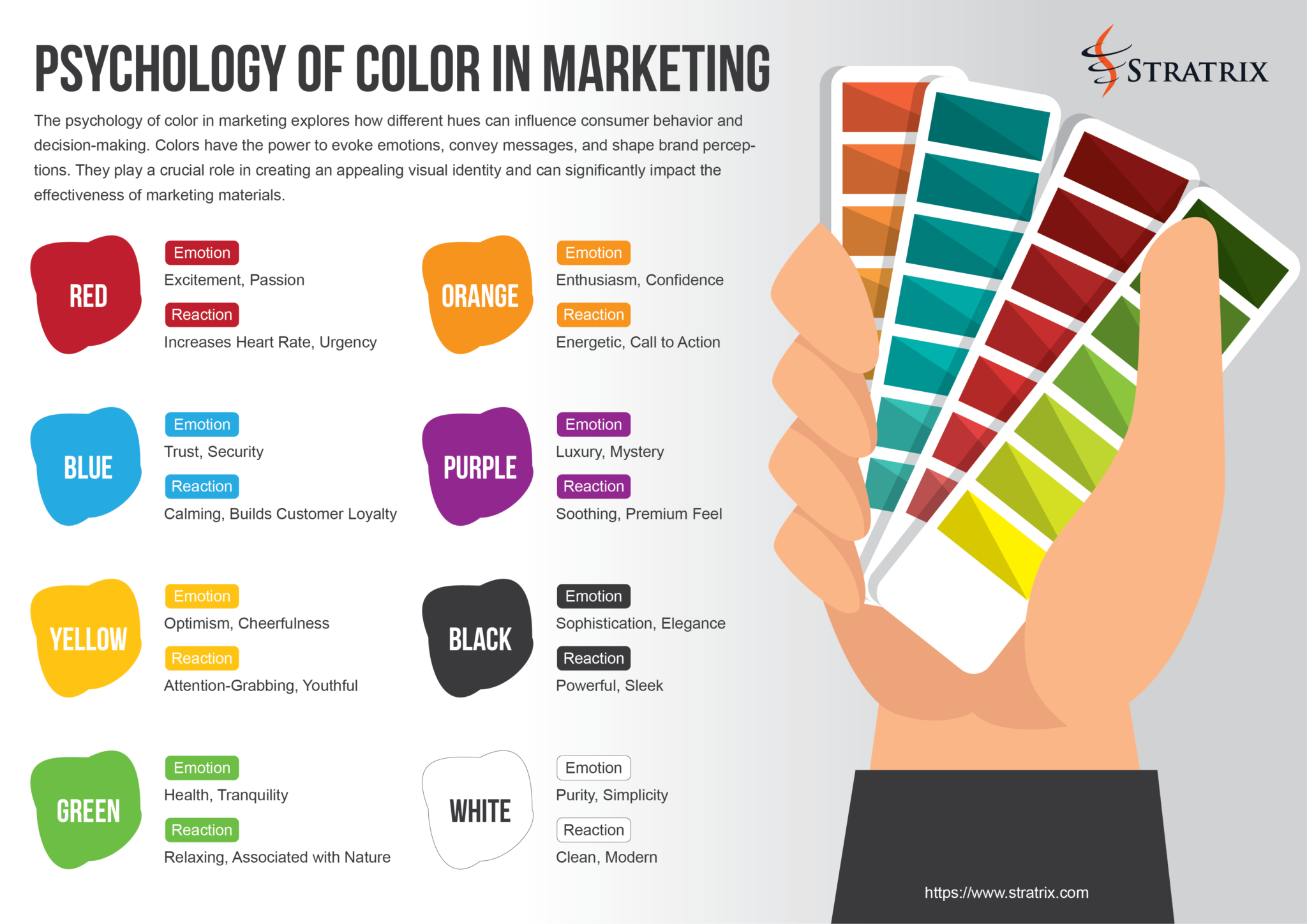 Psychology of Color in Marketing