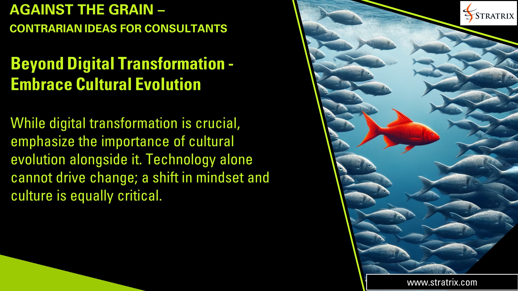Beyond Digital Transformation - Embrace Cultural Evolution - Stratrix