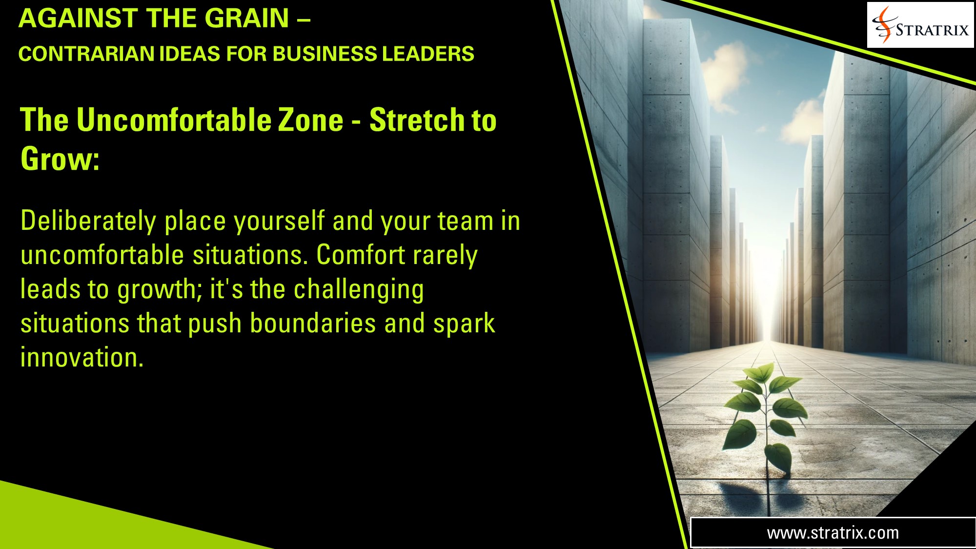 The Uncomfortable Zone - Stretch to Grow