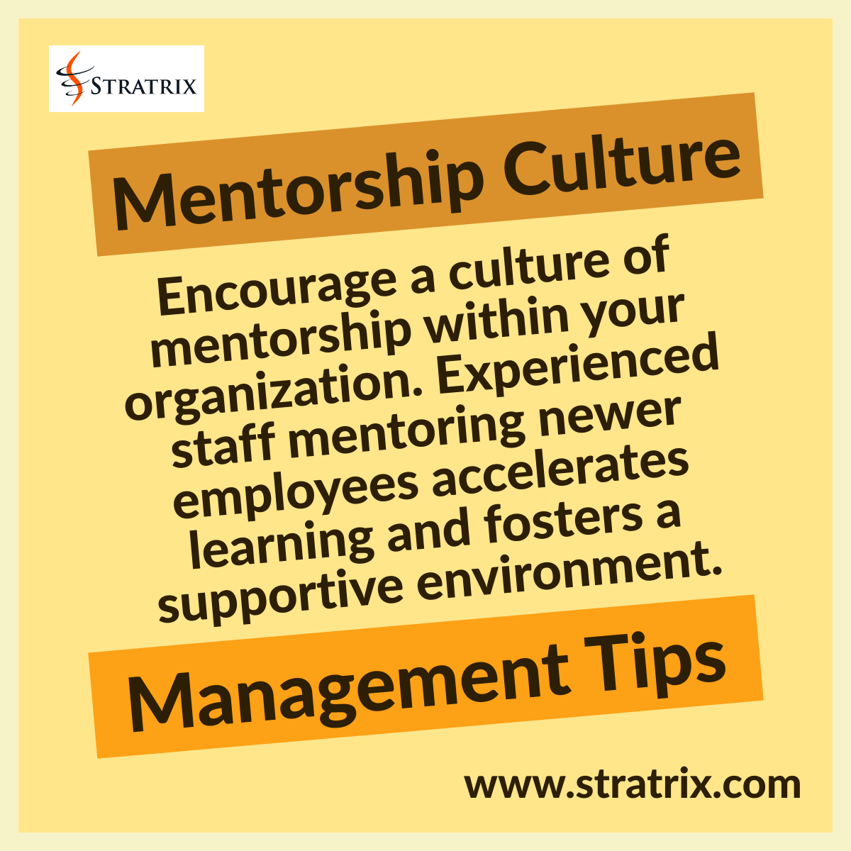 Mentorship Culture