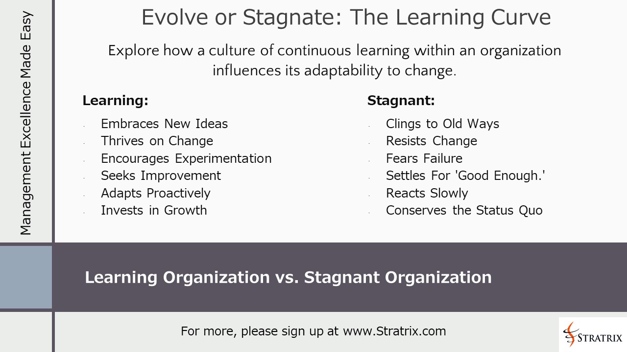 Learning Organization vs. Stagnant Organization